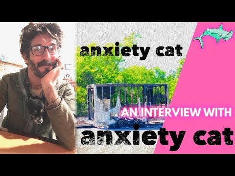 Interview: Rob Taxpayer Talks Anxiety Cat & The End Of Reality!